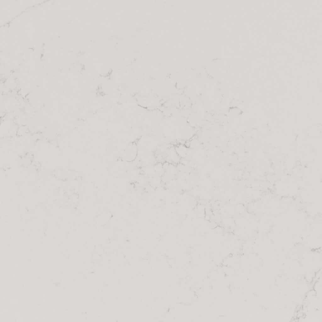 Calacatta Botanica Quartz | Premium Quartz Countertops | Atlantic ...