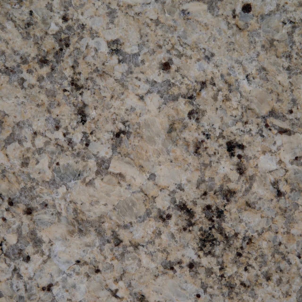 Colonial Gold Granite | CustomGranite Countertops | Atlantic Stoneworks