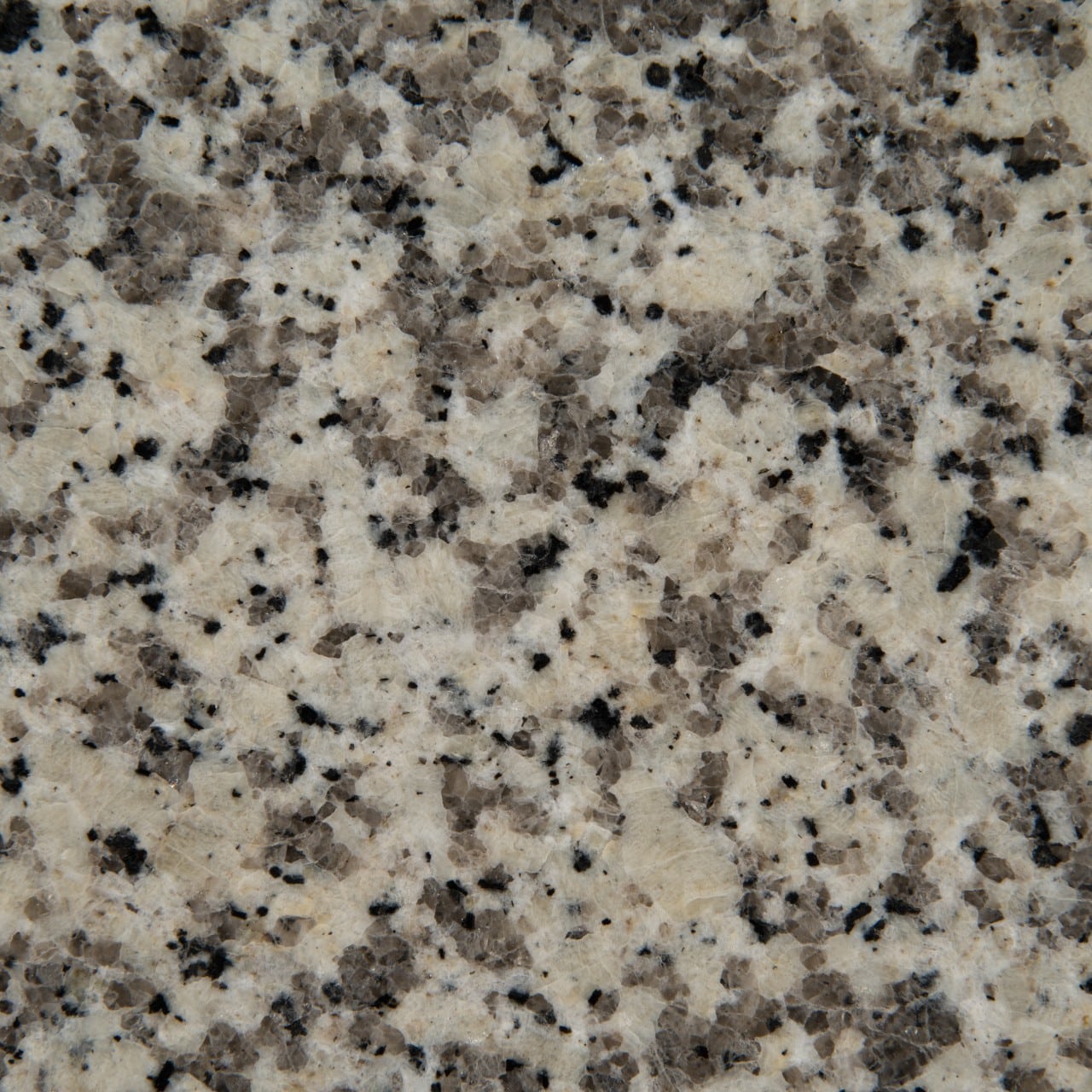 Crema Atlantico Granite | Versatile Granite Countertops | Atlantic ...